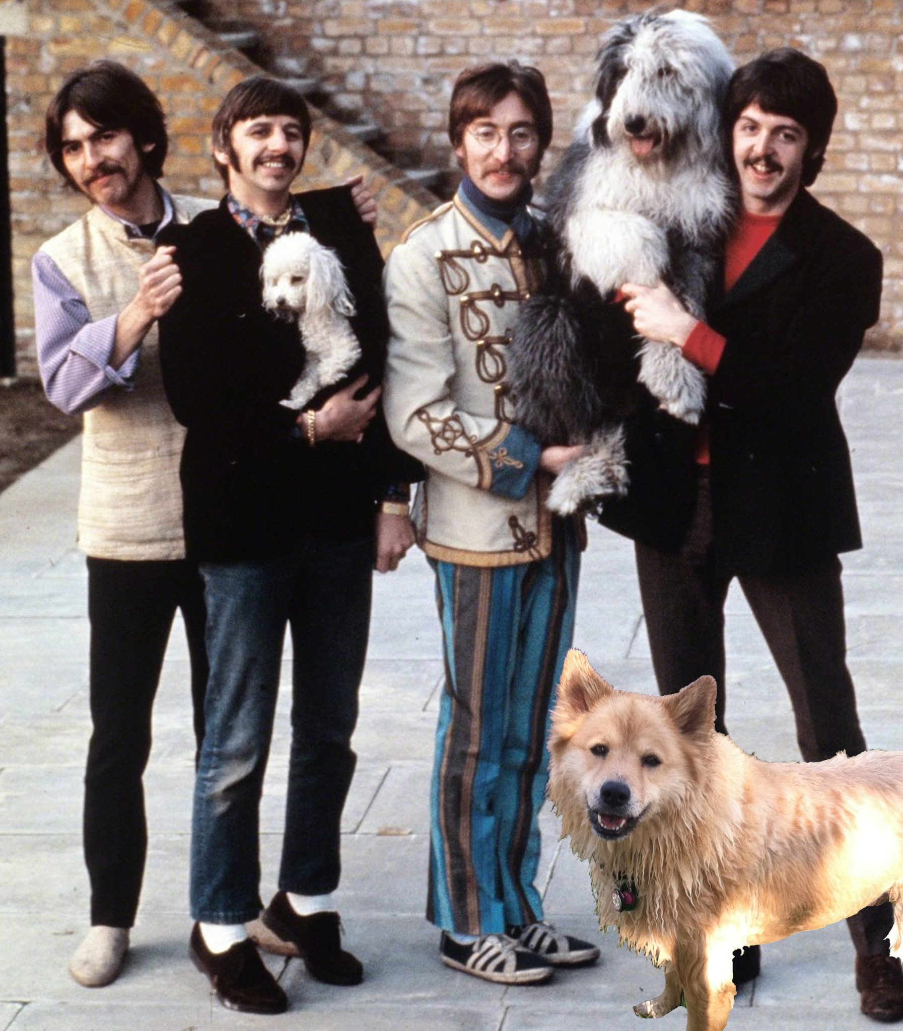 Did The Beatles Make A Recording To Stir Up Your Pup did-the-beatles-make-a-recording-to-stir-up-your-pup